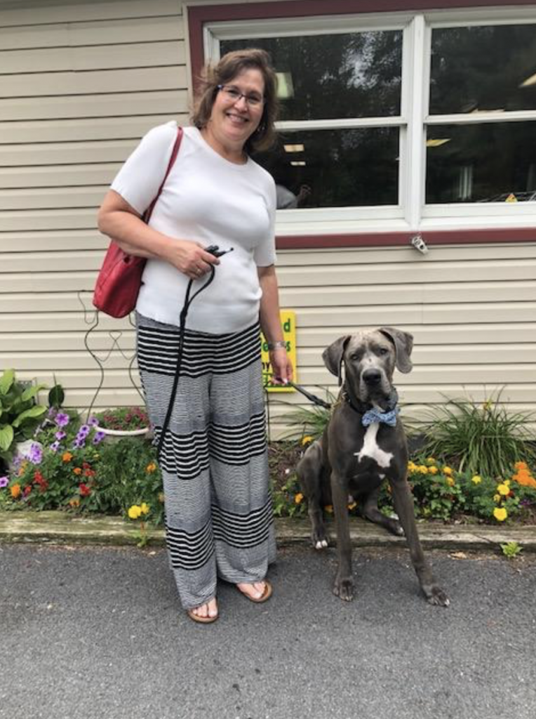 Testimonials & Reviews - Peacock Bridge Boarding and Dog Training